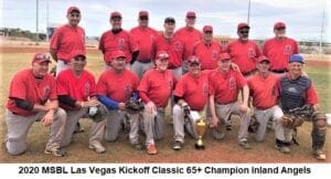 2020 65+ Wood - Men's Senior Baseball league