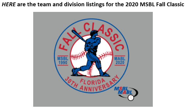 MSBL Fall Classic - Men's Senior Baseball league