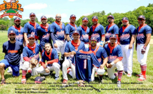 Home - Men's Senior Baseball league